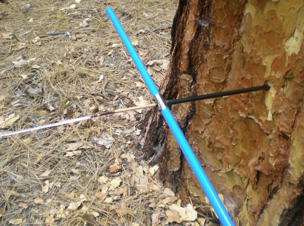 Redcedar Dieback Map – Forest Health Watch