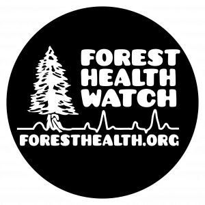 Sooty Bark Disease