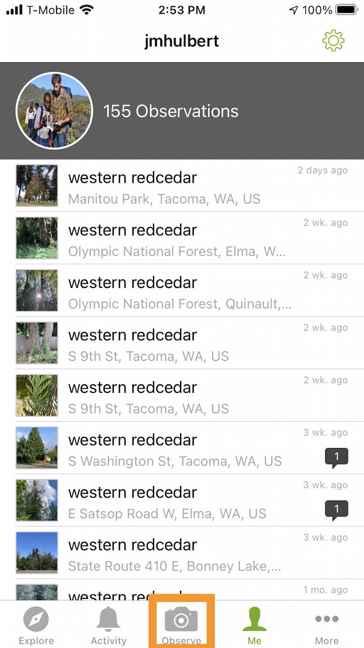 Redcedar Dieback Map – Forest Health Watch