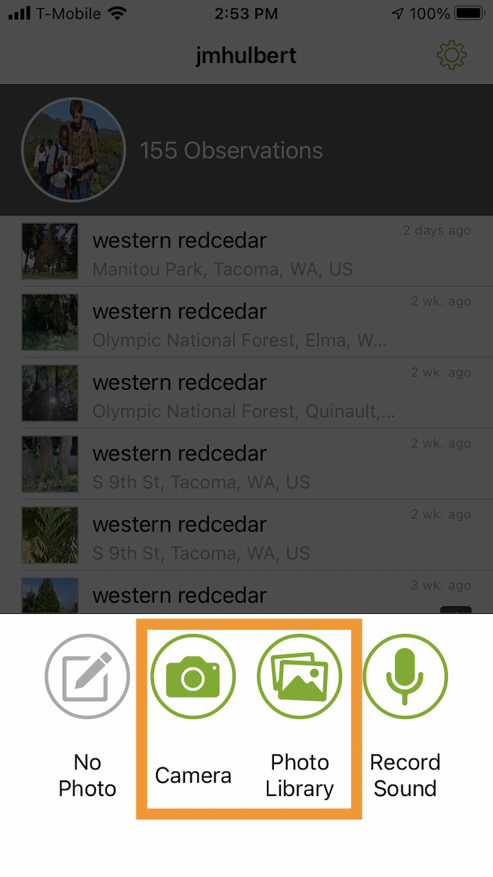 Redcedar Dieback Map – Forest Health Watch
