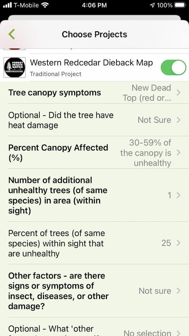 Redcedar Dieback Map – Forest Health Watch
